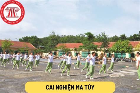 Người đang Trong Thời Hạn Quản Lý Sau Cai Nghiện Ma Túy Thì Có Bị Xét