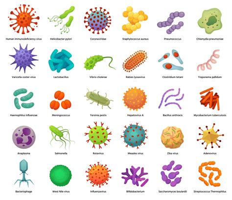 Las Superbacterias Ya Matan Más Que El Sida La Malaria Y El Cáncer De