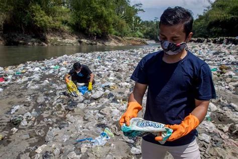 Temuan Mikroplastik Dalam Ikan Ancam Kesehatan Masyarakat Pilar Id