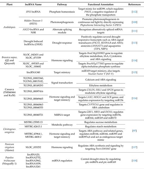 Figure 1 From Non Coding Rnas In Response To Drought Stress Semantic Scholar