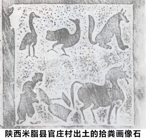 堆肥历史最远可追溯到6000年前，有机肥或许是农业的新未来 知乎