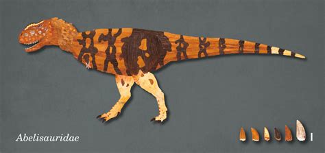 Collages Of Dinosaurs Made With Pictures Of Fossil Teeth Paleo Re