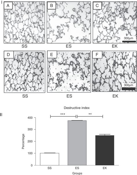 Recombinant Human Keratinocyte Growth Factor Induces Akt Mediated Cell Survival Progression In
