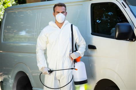 Signs That You Need To Call A Professional Bug Exterminator Dahl House Interiors