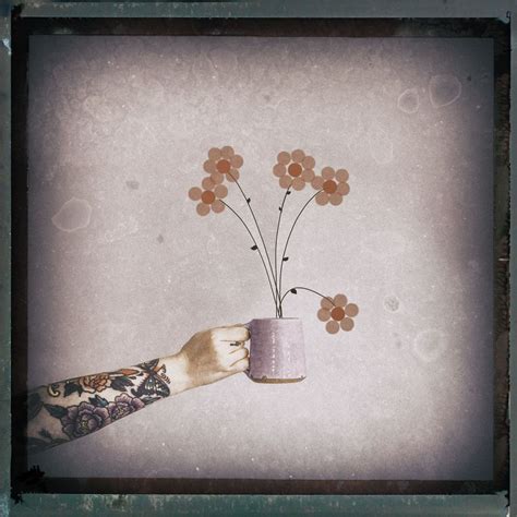 F L O W E R S Foto And Bild Art Flowers Spezial Bilder Auf Fotocommunity