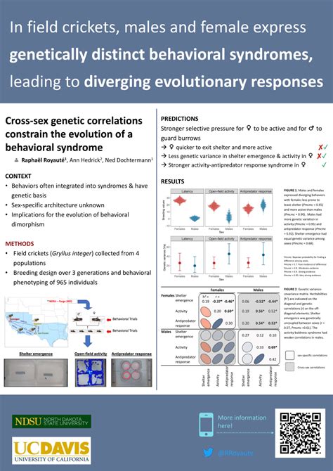 Pdf Cross Sex Genetic Correlations Constrain The Evolution Of A