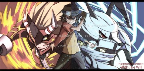 Digimon Frontier Wallpapers Wallpaper Cave