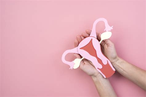 Prolapso uterino Clinica Imar Reproducción Asistida