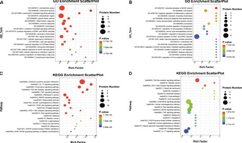 Plasma Olink Proteomics Identifies Ccl20 As A Novel Predictive And