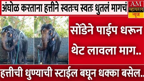 अंघोळ करताना हत्तीने केलं अस की Am News Youtube