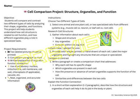 Cell Comparison Research Project 3 Worksheets Structure And Function