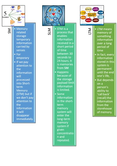 memory learning and improving concentration