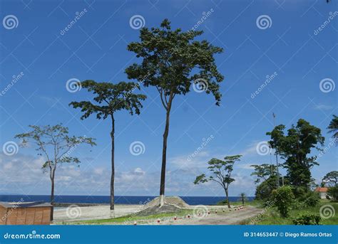 Views Of Life In Malabo Equatorial Guinea Stock Image Image Of