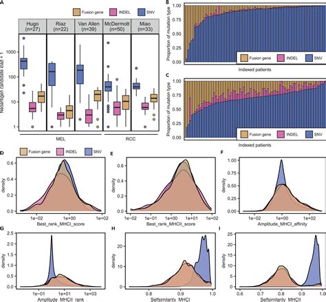 Multiple Instance Learning To Predict Immune Checkpoint Blockade Efficacy Using Neoantigen