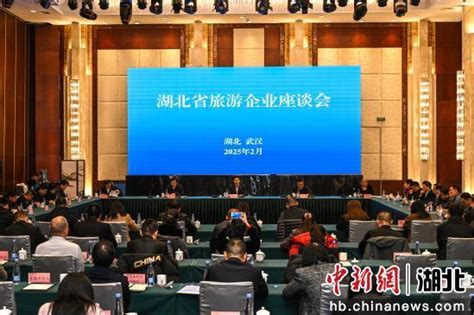 中新网湖北 湖北新闻网 湖北省旅游企业座谈会在武汉举行