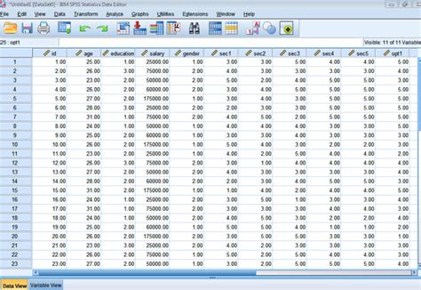 Expert Data Entry And Spss Analysis By Malikuzair66 Fiverr