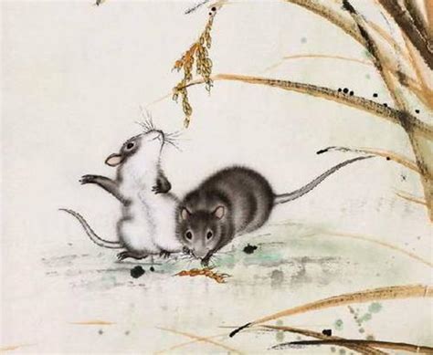 2020年鼠年水墨画 老鼠运财画图片 老鼠写意画 第6页 大山谷图库