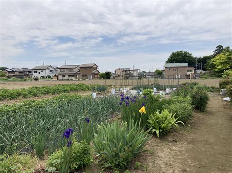IMG 9834 砂田設計工房株式会社