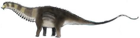 Apatosaurus V3 Sciifii Wiki Fandom