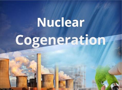 Computational Nuclear Science And Engineering IAEA