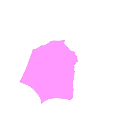 Head And Neck Bones