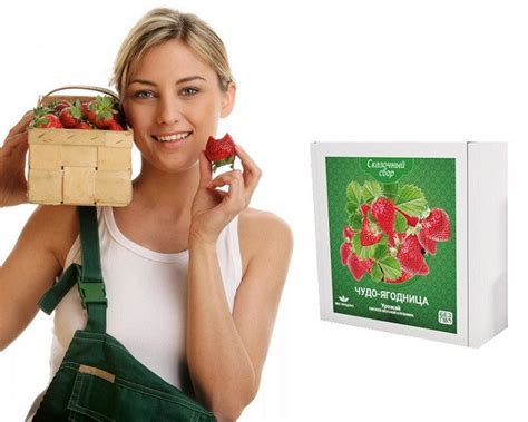 Ягодница сказочный сбор что это такое — ответы на List Name