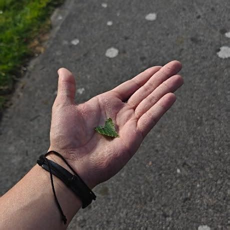 Amazon Com HATMINI 5V 3Pin ARGB LED Hub10 Way 5V 3 Pin RGB Splitter Controller With Acrylic