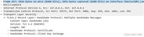 ssl笔记 ssl双向认证成功握手过程（含wireshark分析） ssl握手过程 csdn博客