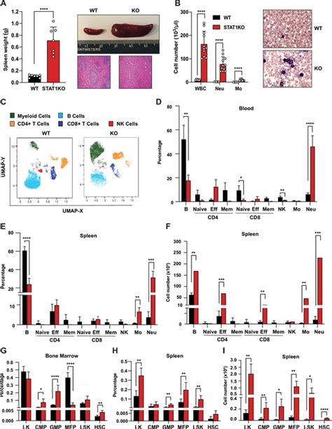 Tonic Interferon Restricts Pathogenic Il 17 Driven Inflammatory Disease