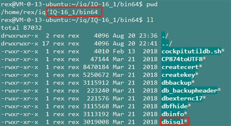 Sybaseiq部署及应用安装sybase Iq 16 Csdn博客