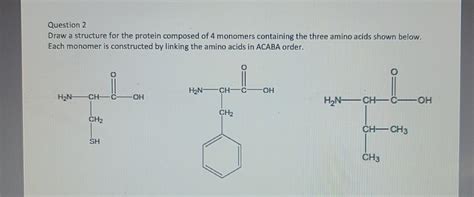 Solved Question Draw A Structure For The Protein Composed Chegg
