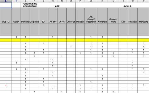 Board Skills Matrix Template