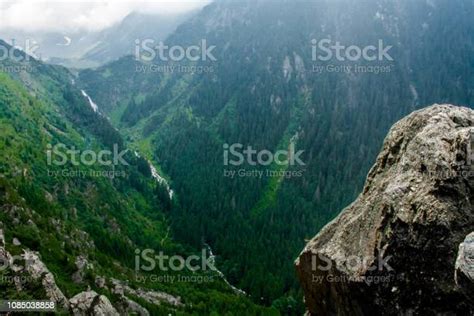 아름 다운 풍경 보기 Transfagarasan 루마니아에서 안개에 가려져 상록 침 엽 수와 낮은 속이는 구름에 숲이 우거진된