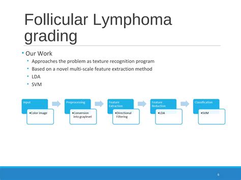 Multi Scale Directional Filtering Based Method For Follicular Lymphoma Grading Ppt