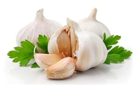 Хэн сармис идэж болохгүй вэ News Mn