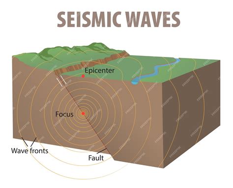 Ilustración Del Diagrama De Ondas Sísmicas Vector Premium