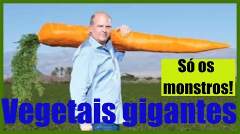 Os Maiores Vegetais Do Mundo Verduras E Legumes Gigantes