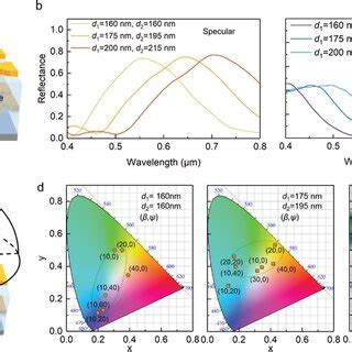 A Bioinspired Bilevel Metamaterial For Multispectral Manipulation Toward Visible Multi