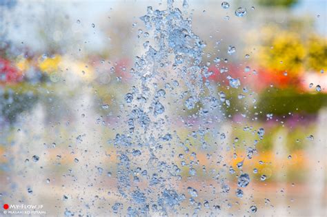 Refreshing Photographs To Reinvigorate Your Day Blog