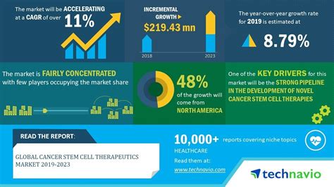 Why Stem Cells Could Be The Medical Innovation Of The Century World