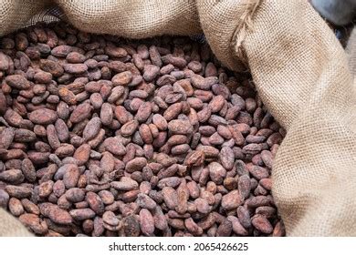 724 Cocoa Beans Roasting Process Royalty Free Photos And Stock Images Shutterstock