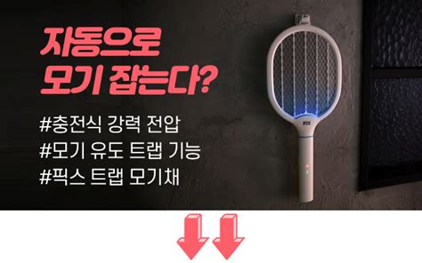 쿨톤 가진 스타의 메이크업과 패션 따라하기 데일리
