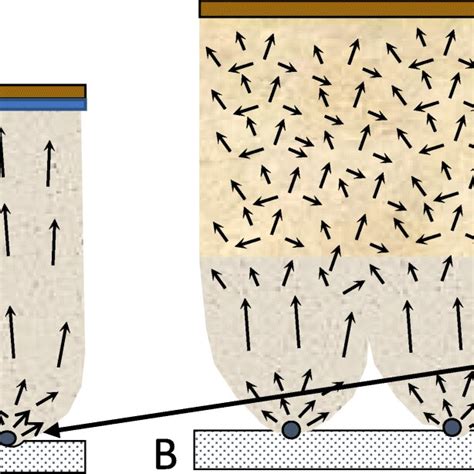 Comparison Of Schematic Eggshell Structure And Crystal Orientation In Download Scientific
