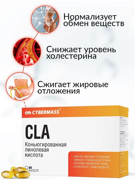 Cybermass Cla Конъюгированная линолевая кислота Жиросжигатель 60к