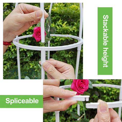 Climbing Vine Trellis For Gardening Climbing Plants