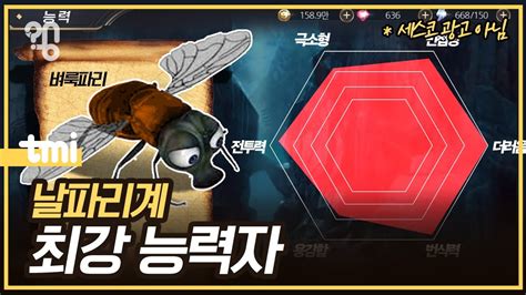벼룩파리는 정말 퇴치할 수 없을까 Youtube