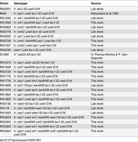 Schizosaccharomyces Pombe Strains Download Table