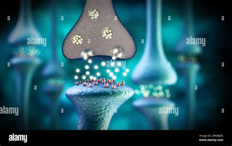 Electrical Network Transfer Function Hi Res Stock Photography And