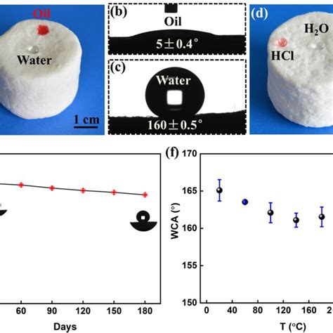 Pdf Fabrication Of Superhydrophobicsuperoleophilic Bamboo Cellulose