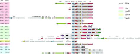 Genetic Environment Of Bla Ndm In K Pneumoniae The Four Different